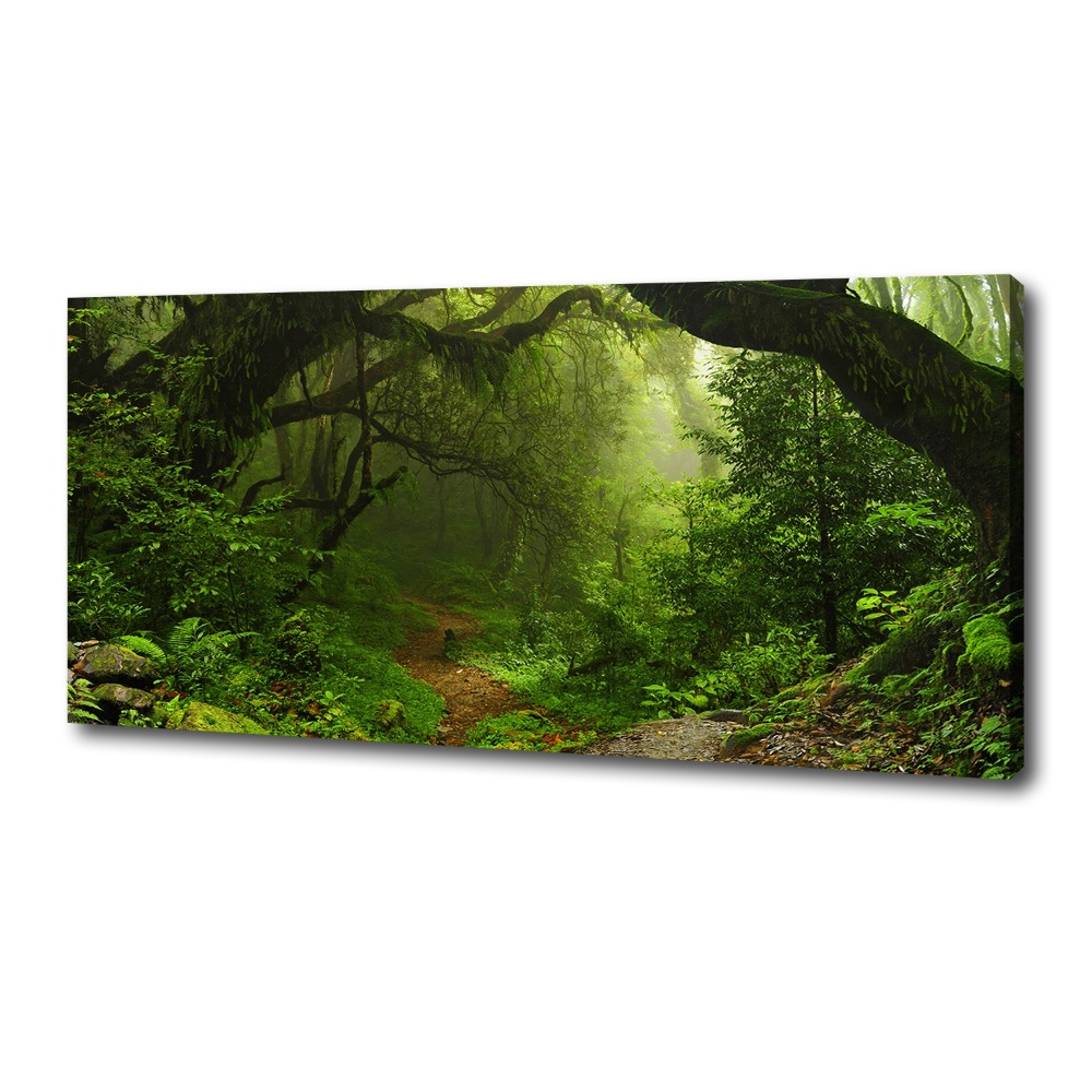 Prales v Nepálu - Foto obraz tištěný na plátně - WallMuralia.cz