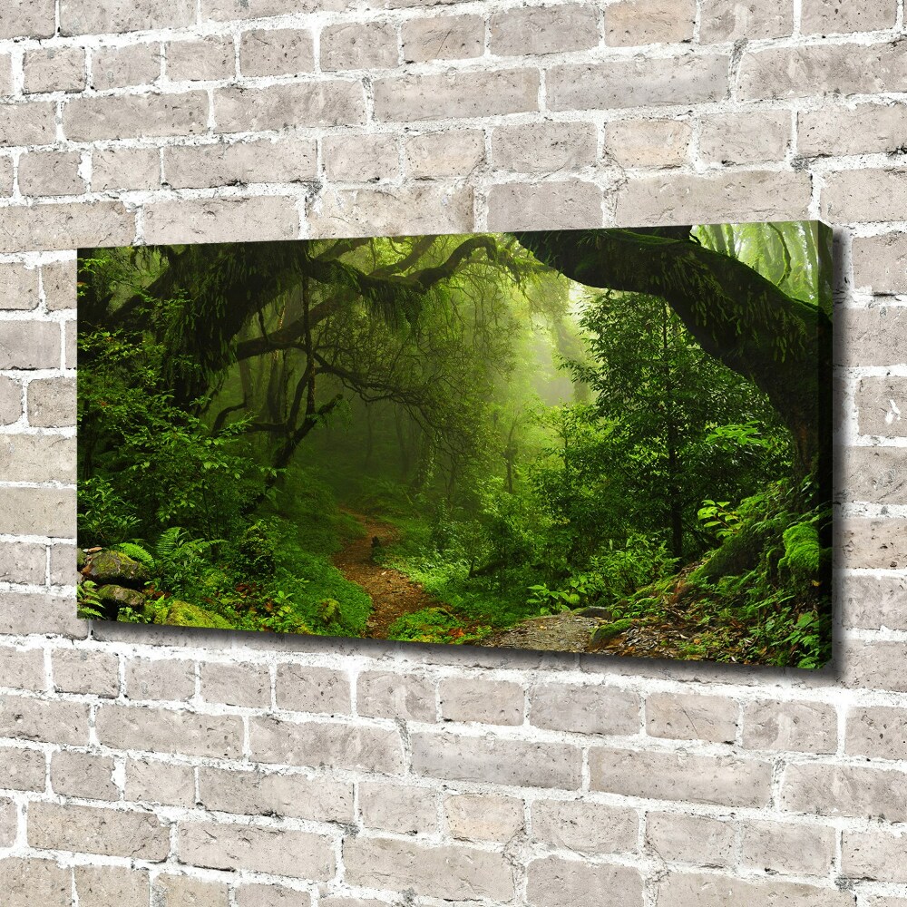Prales v Nepálu - Foto obraz tištěný na plátně - WallMuralia.cz