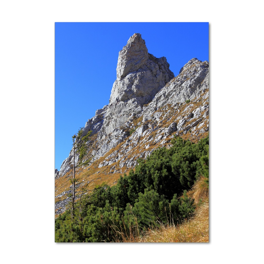 malý Giewont Tatry - Vertikální Fotoobraz na skle - WallMuralia.cz